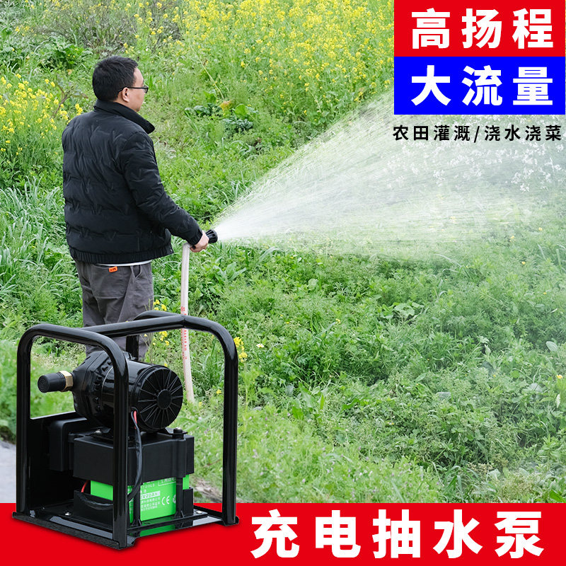 德国进口斯蒂尔农用灌溉充电式抽水泵抽水机菜地浇水机电动浇
