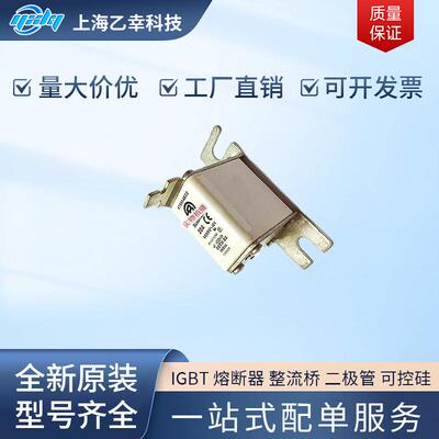 巴斯曼熔断器 170M4831 170M4832 170M4833 170M4834 170M4835