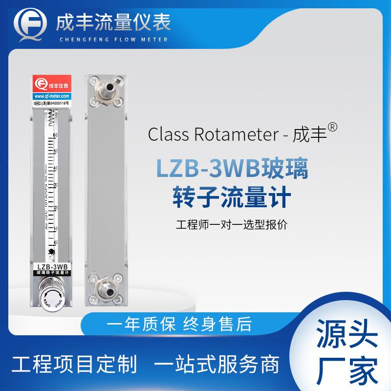 常州成丰LZB-WB系列玻璃转子流量计 气体氮气流量计 面板式流量计