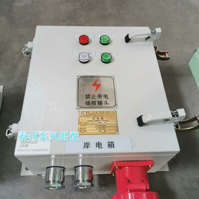 船用岸电箱63A  100A  125A  250A三相交流配电箱380V100ACCS