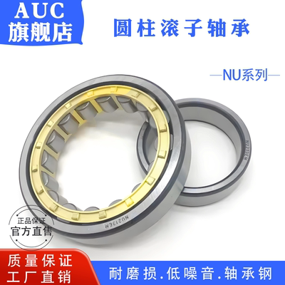 圆柱滚子轴承NU21345678