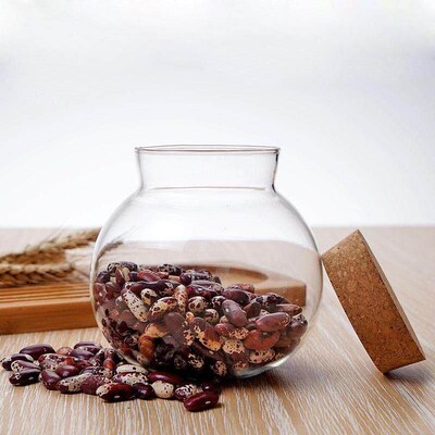Terrarium Buds Vases Micro Landscape Ecological Bottle