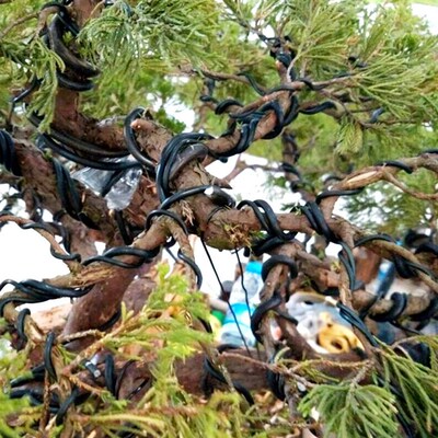 Garden Bonsai Shape Aluminum Wire (1.0mm, 1.5mm, 2.0mm, 3mm,