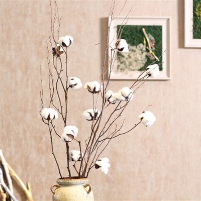 装饰会所落地花瓶插花花束天然真棉花干花干枝高长枯树枝干支