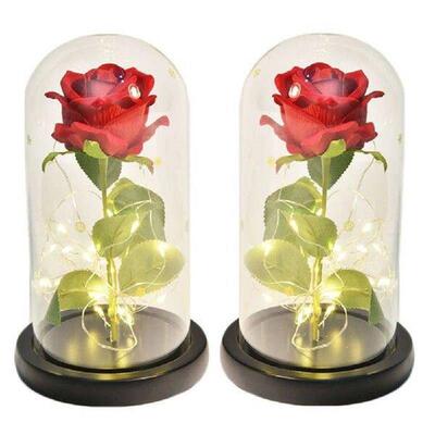 Eternal Rose LED Light Preserved Rose in Glass Cover