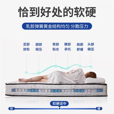 Household spring mattress latex bag 20cm租房隔脏床垫民宿学生