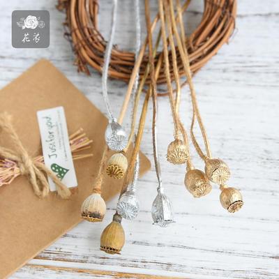 虞美人雪莉果车轮果干果 永生花礼盒花材 拍摄道具