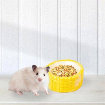 Gerbil Food Dish Indoor Hamster Feeder for Hedgehog Small