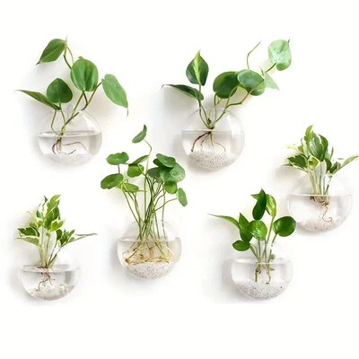 Wall Hanging Glass Plant Terrarium Container Propagation Sta