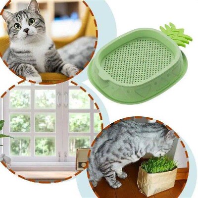 Cat Grass Planter For Indoor Cats Soilless Culture Growing