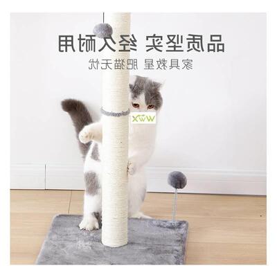 Tall Cat cratching Pot Cat Interactive Toy Cat cratch