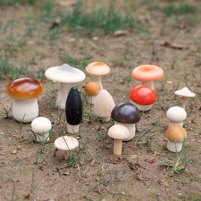 eech smulaton mushroom game ay early educaton magnaton play