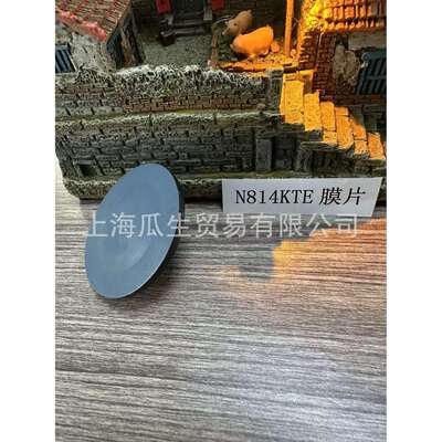 N814KTE 德国KNF原装进口防腐膜片