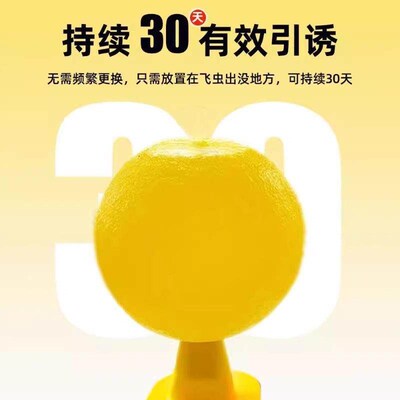 Fruit Fly Trap - An Effective Insect Eliminator for Indoor U