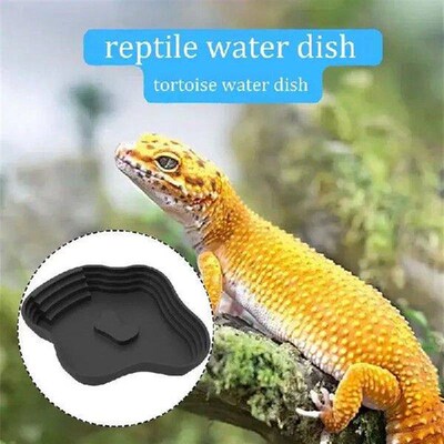 Water Dish For Reptile Tank Tortoise Bathing Pool Reptile