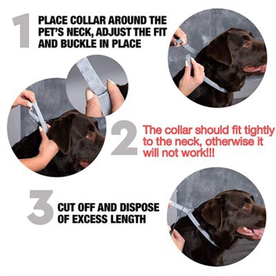 38/62CM Dog Collar Flea Tick Prevention Pet Cat Dogs Collars