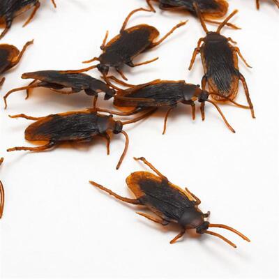 April Fools Day pranks, gifts, tricky props, fake cockroach