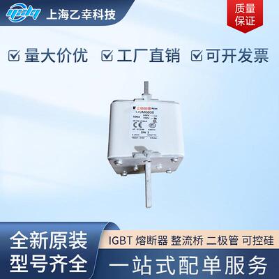 巴斯曼熔断器 170M6811 170M6812 170M6813 170M6814 170M6815