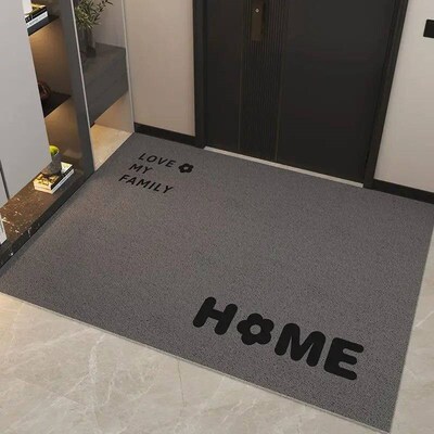 Entry door Entry door Floor mat Living room porch entrance S