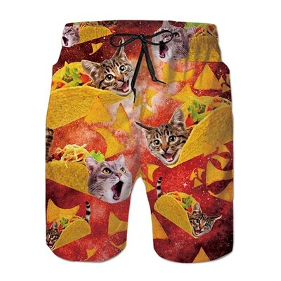 Funny Dinosaur Cat Graphics Beach Shorts Men 3D Print Animal