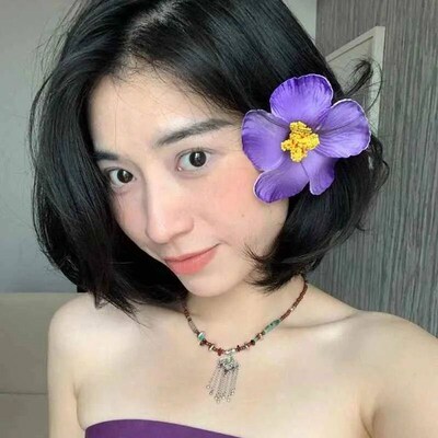 Flower Hair Clips Hawaiian Plumeria Hibiscus Flowers Barrett