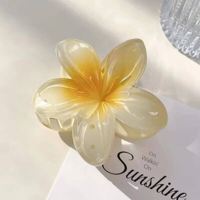 Six colors Gradient Flower Hair Styling Accessories Set Beac