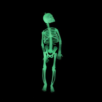 Spooky glow-in-the-dark skeletons decorated for Halloween