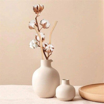 50 Pcs Natural Dry Branches Twigs Sticks Wood for Crafting