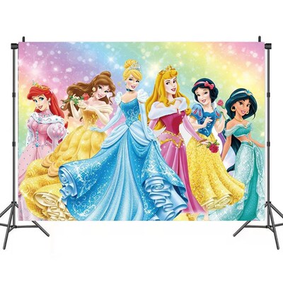 Six Princess Photo Backdrop Birthday Decoration Party Suppli