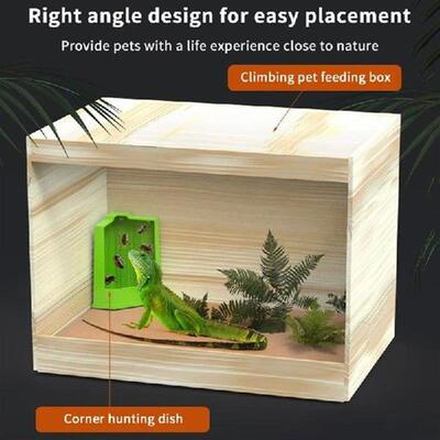 New Amphibians Supplies Reptile Feeder Suction Cup Suitable