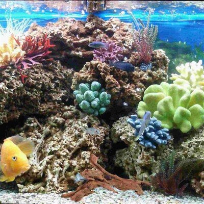 Aquarium Sunken Wood Fish Tank Underwater Dead-wood