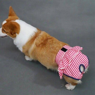 Dog Panties Diapers Female Dogs Physiological Pant Highly