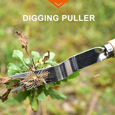 Wood Handle Stainless Steel Garden Weeder Hand Weeding Remov