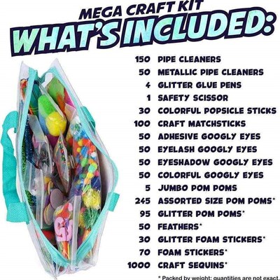 1000pcs Kds Crafts Art Supples Kt Ppe Cleaners Pompoms F