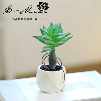 Diamond Pot Dead Branches and Fleshy Small Ornaments Artific