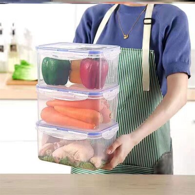 plastic food fruit storage box  container lunchstorage box