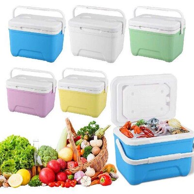 6L Insulated Portable Cooler Large Capacity Mini Freezer