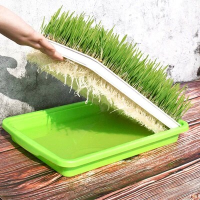 2 Layer Seed Sprouter Tray Vegetable Bean Plant Hydroponic N