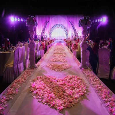 5000pcs Artificial Silk Rose Petals Simulation Weddi