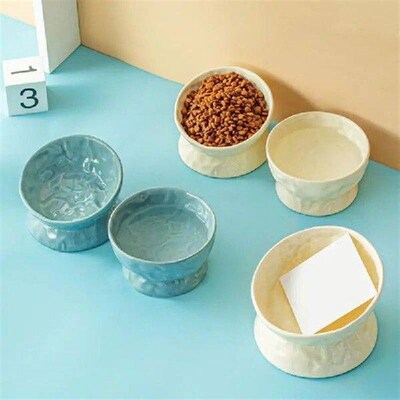 Elevated Cat Food Bowl Porcelain Water And Food Feeder Dish