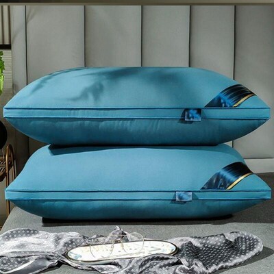 Pillow Healthy pillows feather velvet hotel pillow for bed