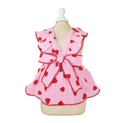 Small Dog Outfit with Fine Workmanship Small Dog Princess