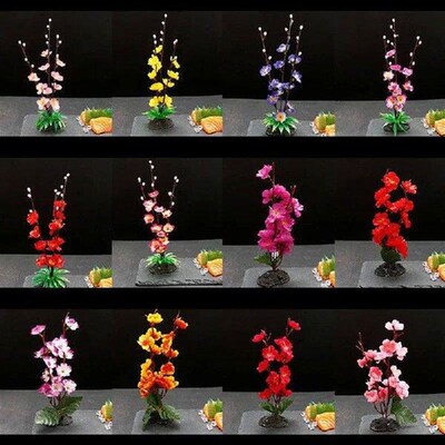 Decorative characteristic flowers plants Artistic