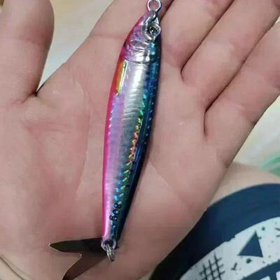 3D Metal Jig Shore Jigging 60/80G Saltwater Fishing Lure Dra