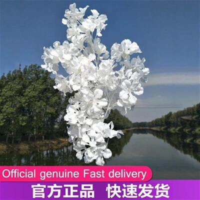 90CM Artificial 4-pronged Cherry Blossom White Stem Silk Flo