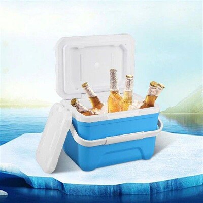 6L Insulated Portable Cooler Large Capacity Mini Freezer