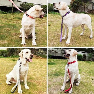 Dog Leash Short Dogs Leash Durable Nylon Leashes for Large