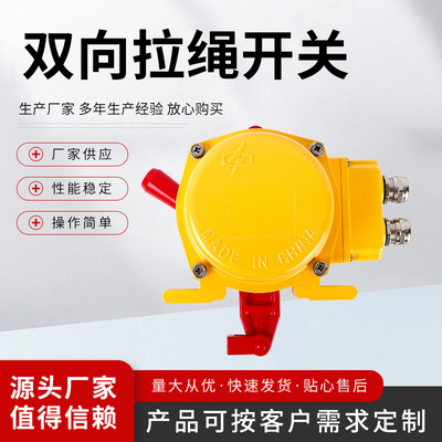 玻璃钢接线腔(手动)拉绳开关 LS-FJS型 接线盒塑料拉绳开关