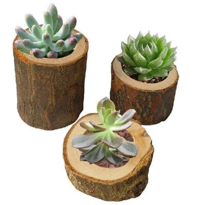 Wooden Stump Holder Planter Wedding Party Dining Table