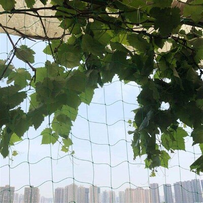 Plastic Plant Climbing Vine Net Orchid Netting Vine Support